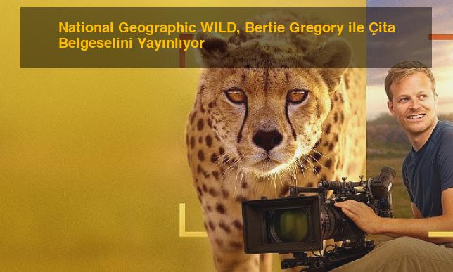 National Geographic WILD, Bertie Gregory ile Çita Belgeselini ...