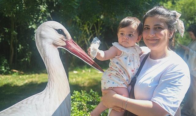 Ormanya'da yavru leylek Atlas'a sürpriz kutlama | Ayancık Gazetesi